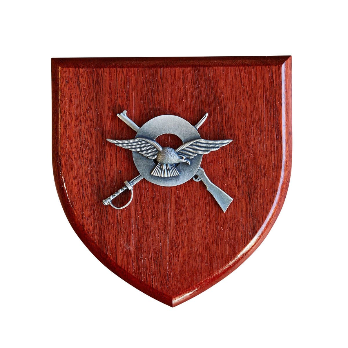 Presentation Plaque RAAF Airfield Defence Large – Wedgetail Tactical